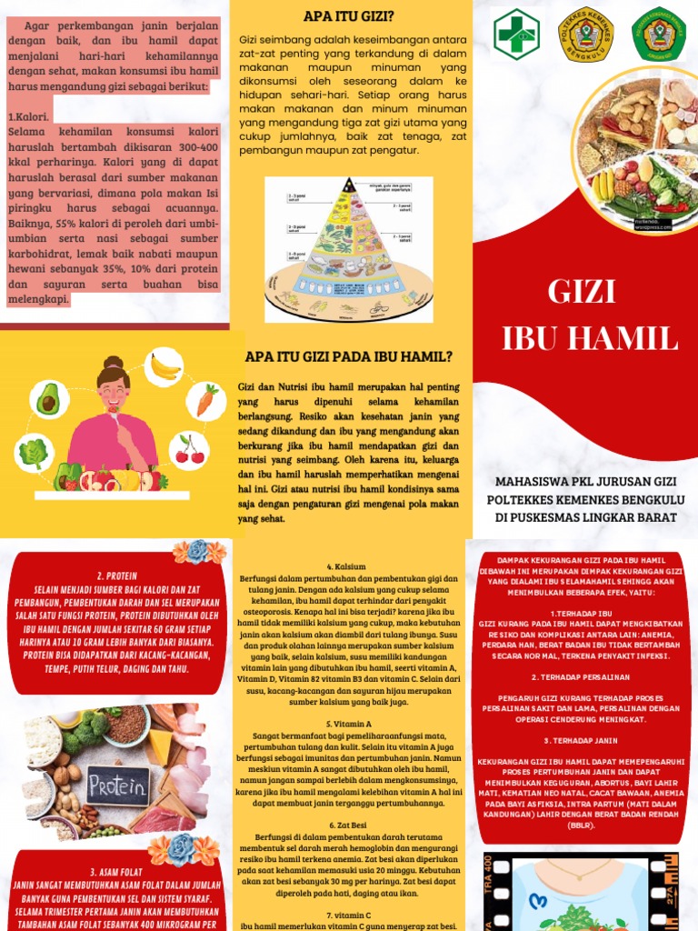 Gizi Ibu Hamil Revisi | PDF