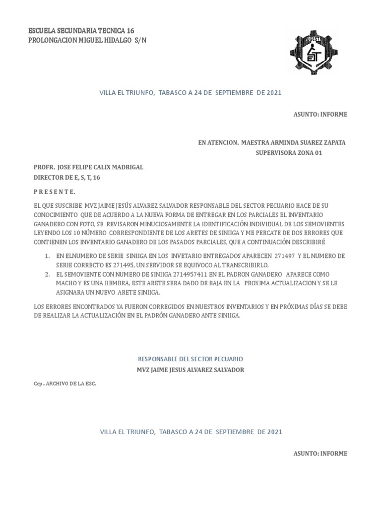 Oficio De Error Pdf