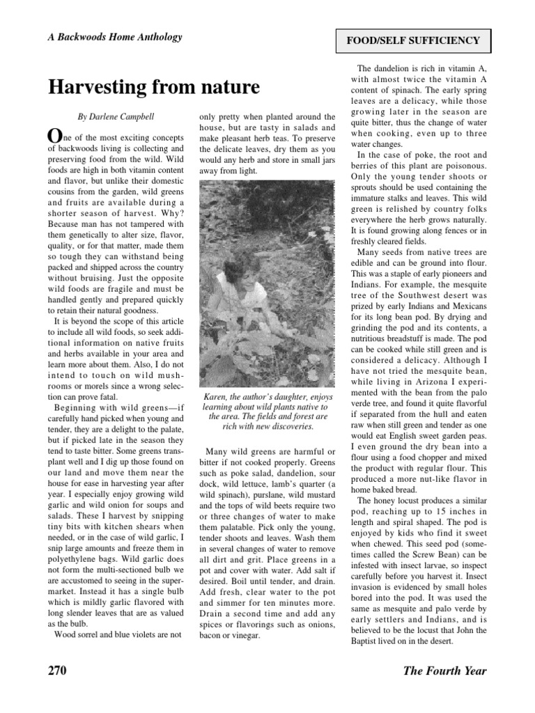 Harvesting From Nature... by Darlene Campbell | PDF | Leaf Vegetable ... Harvesting From Nature... by Darlene Campbell | PDF | Leaf Vegetable ...