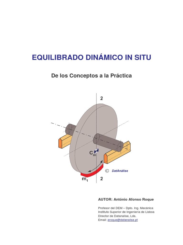 Balanceo Dinámico | PDF | Frecuencia | Fuerza