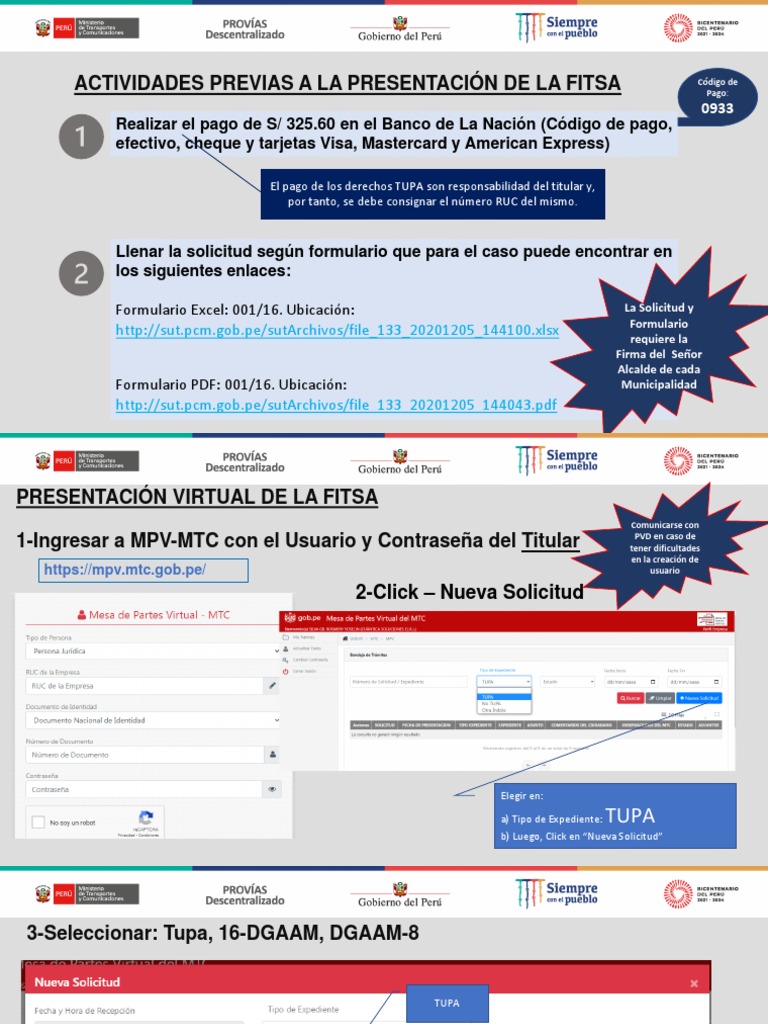 Presentacion de Fitsa | PDF