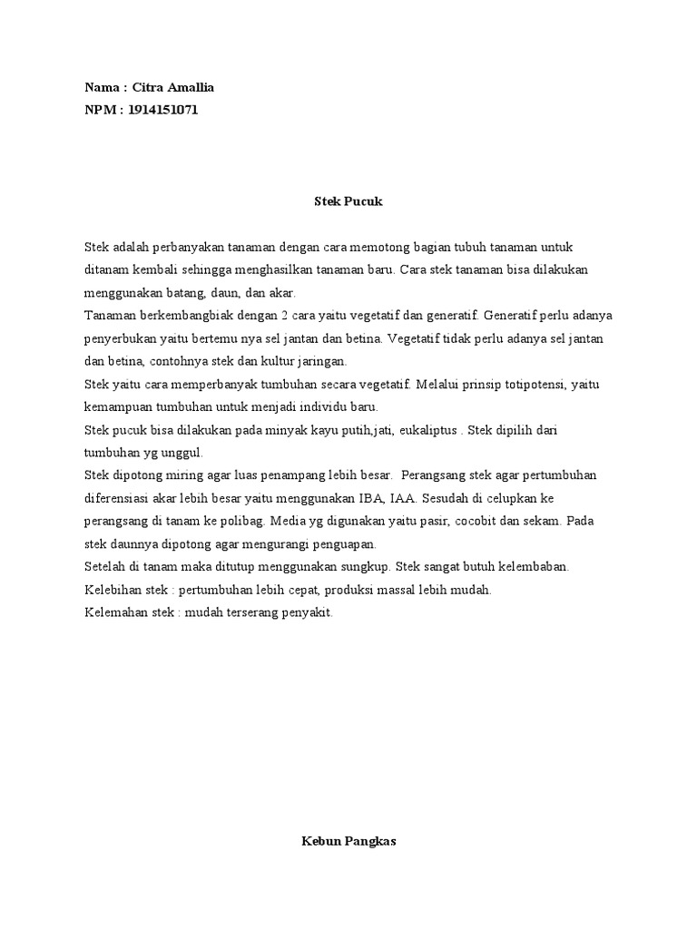 Stek Pucuk Dan Kebun Pangkas | PDF