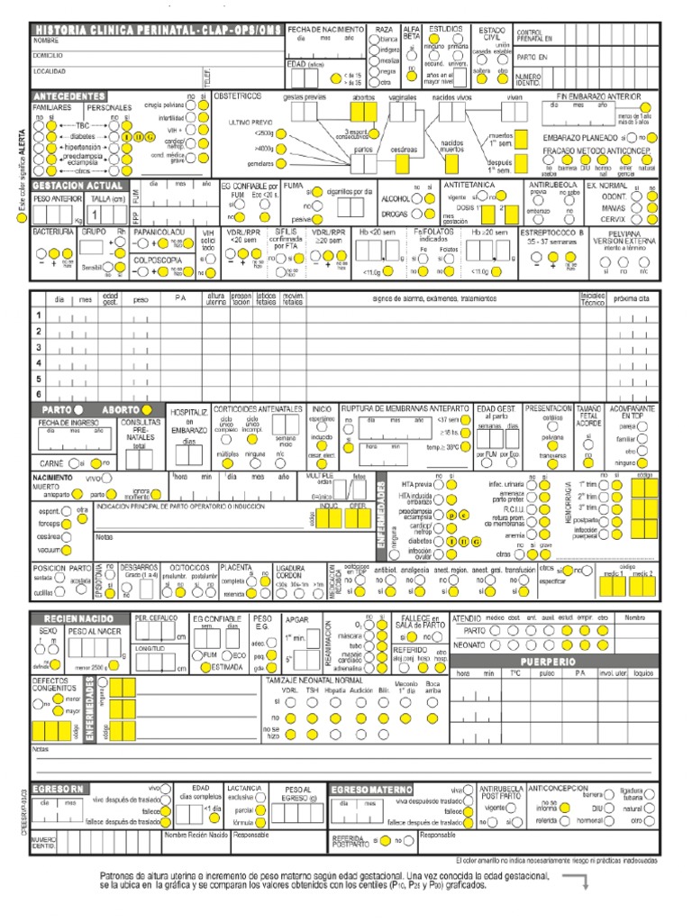 Carnet Perinatal Actividad pc2 | PDF | Parto | El embarazo