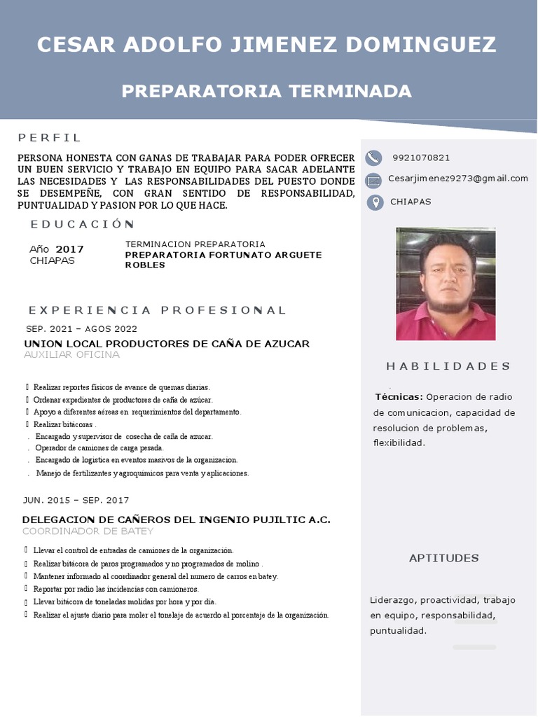 Curriculum Cesar | PDF