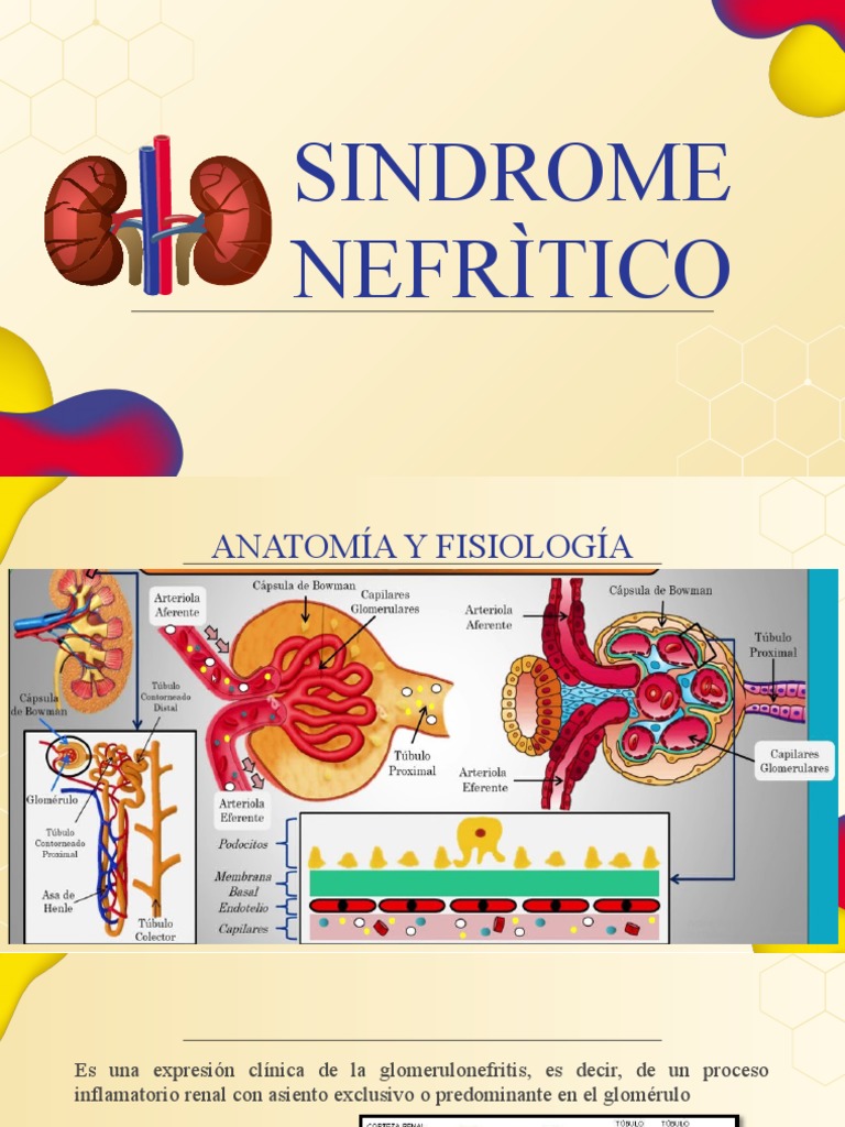 Sindrome Nefritico | PDF | Medicina CLINICA | Epidemiología