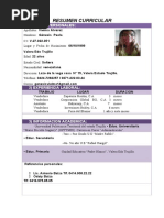 CURRICULUM VITAE BASICO Paola | PDF