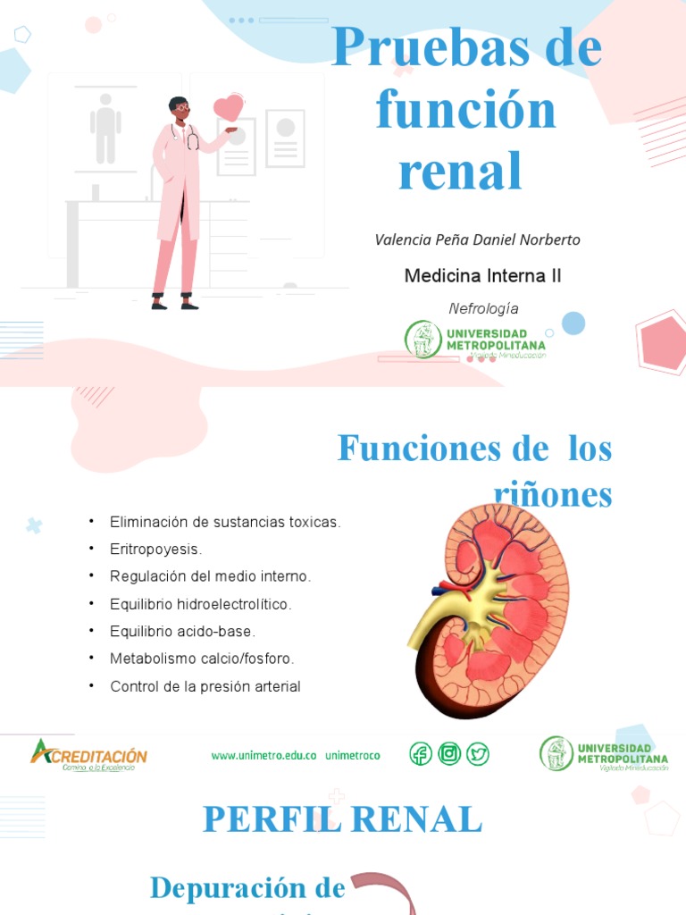 Pruebas de Funcion Renal | PDF | Creatinina | Nefrología