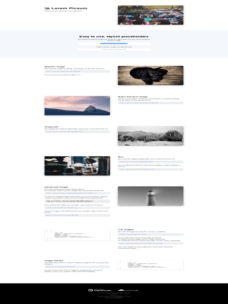 Lorem Picsum Pdf Software Engineering Internet