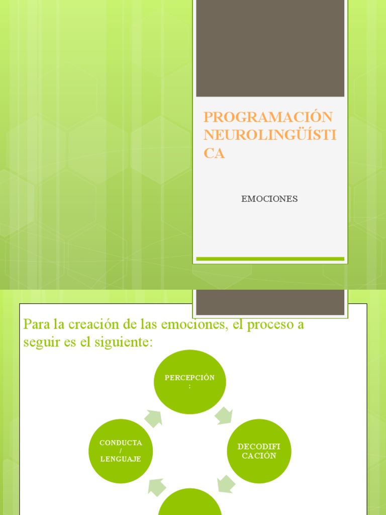 Percepción Final | PDF | Percepción | Las emociones