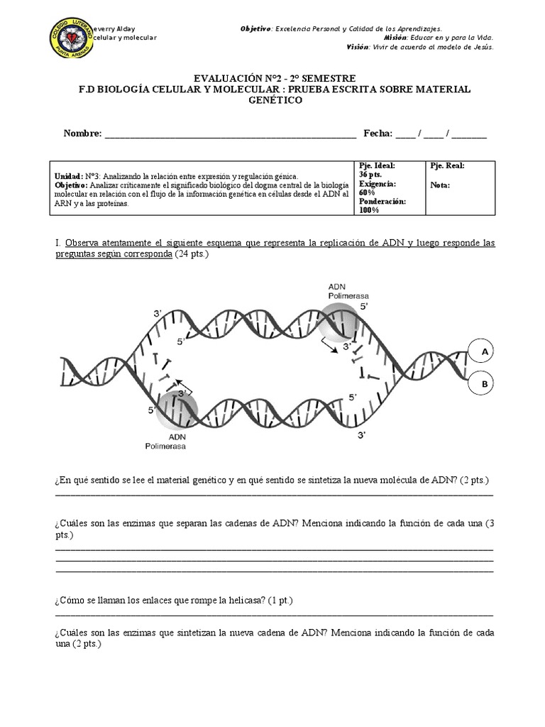 Evaluación sobre material genético: Replicación de ADN, transcripción y ...