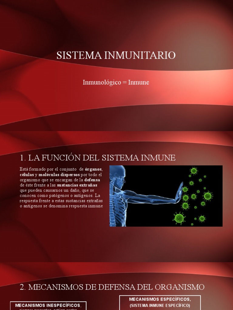 Sistema Inmunitario | PDF | Sistema inmune | Linfocitos