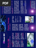 1PMP Template PDF | PDF