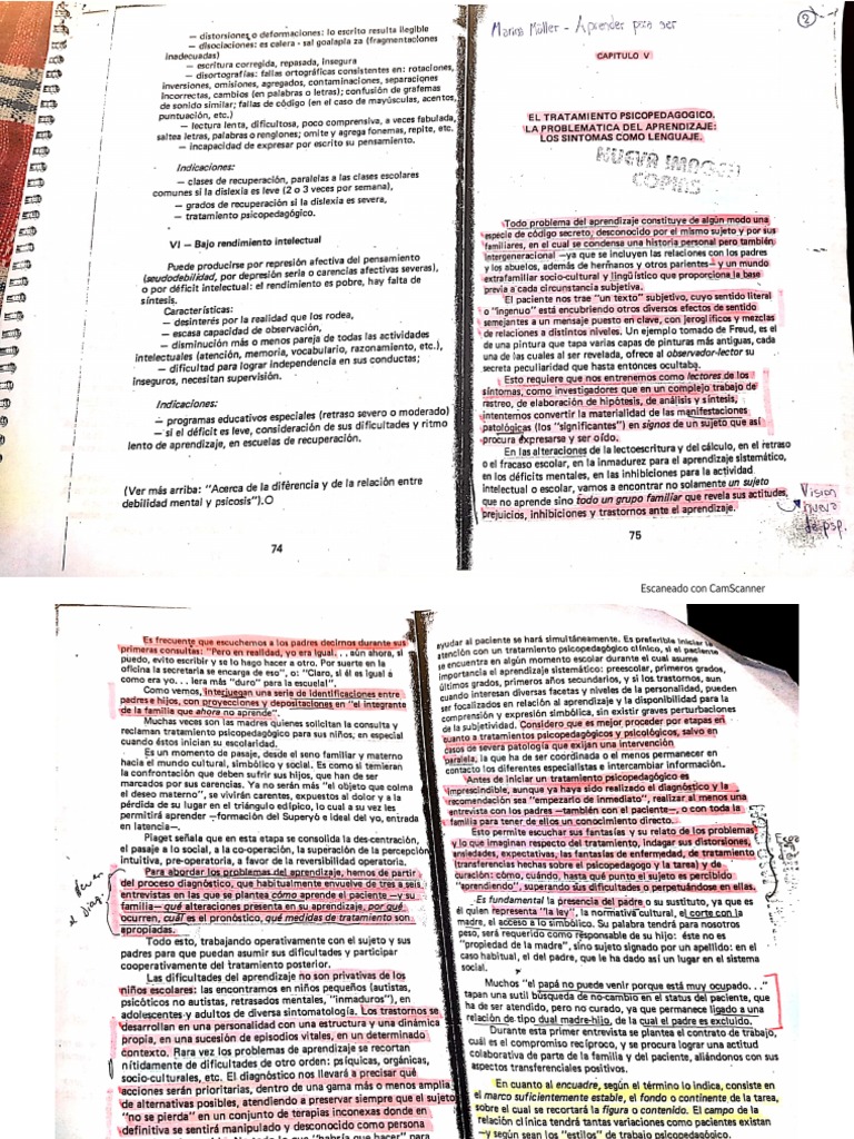 Marina Muller - Aprender para Ser Cap 5 | PDF