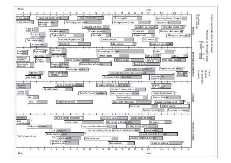 Test de Denver | PDF