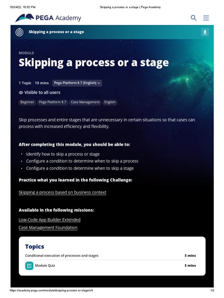 Skipping A Process or A Stage | PDF | Brand | Application Software