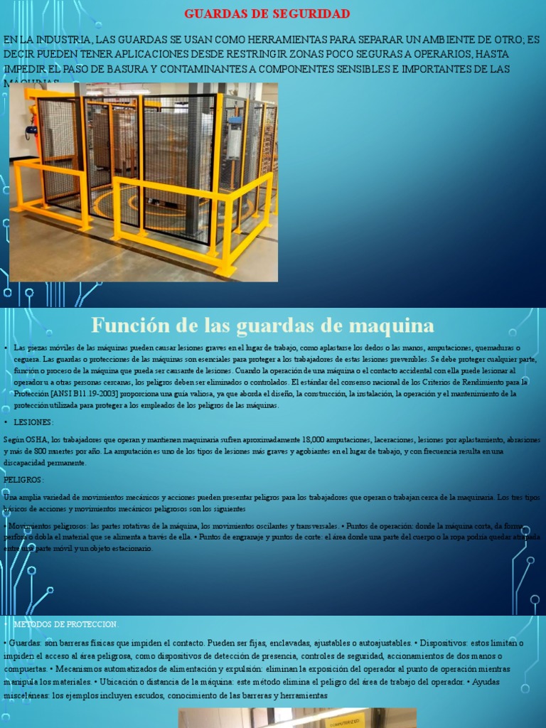 Guardas de Seguridad | PDF