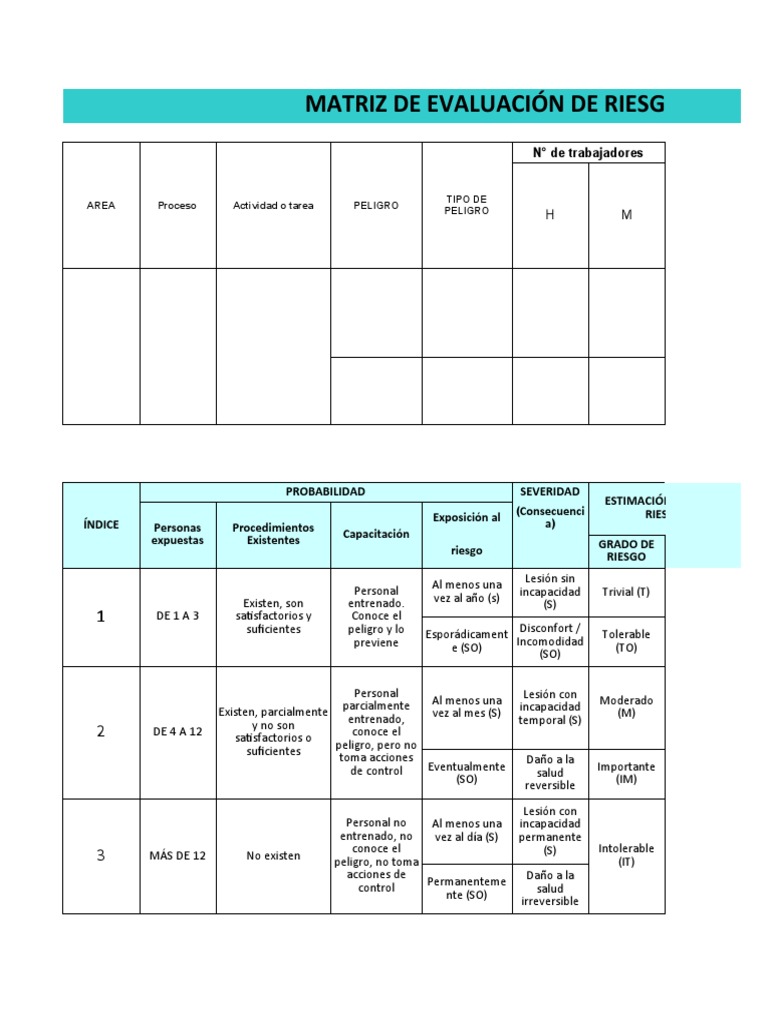 Tablas para Hacer Matriz Iper | PDF | Ciencias de la Salud | Medicina ...