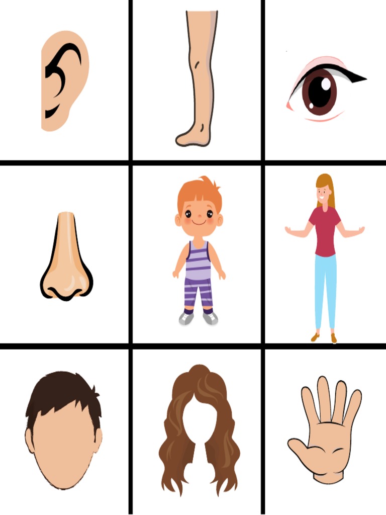 Bingo Partes Del Cuerpo | PDF