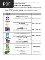 Biology Notes For 7th Grade | PDF | Mitosis | Endoplasmic Reticulum