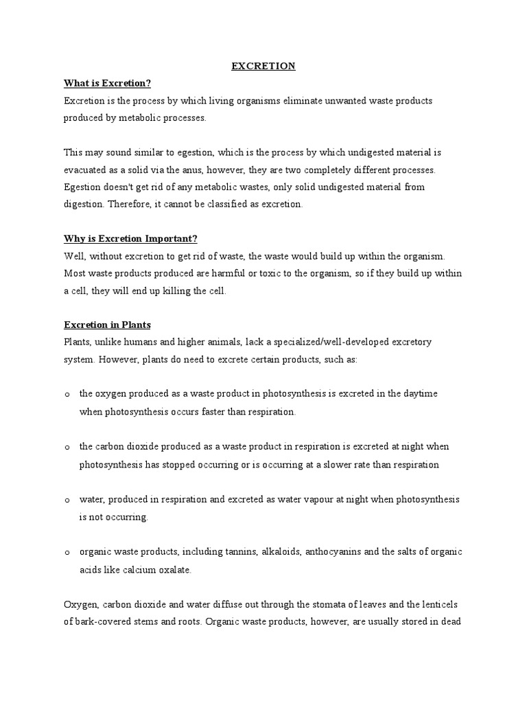 Biology Excretion Notes | PDF | Kidney | Excretion