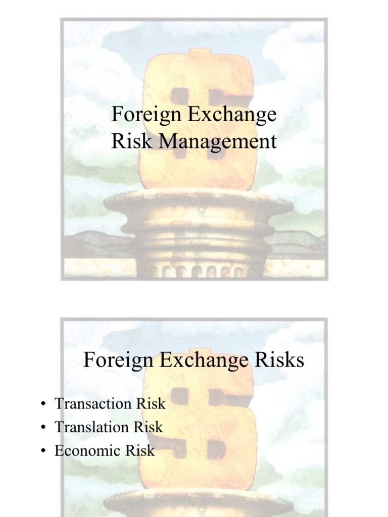 Foreign Exchange Risks Explained | PDF | Law
