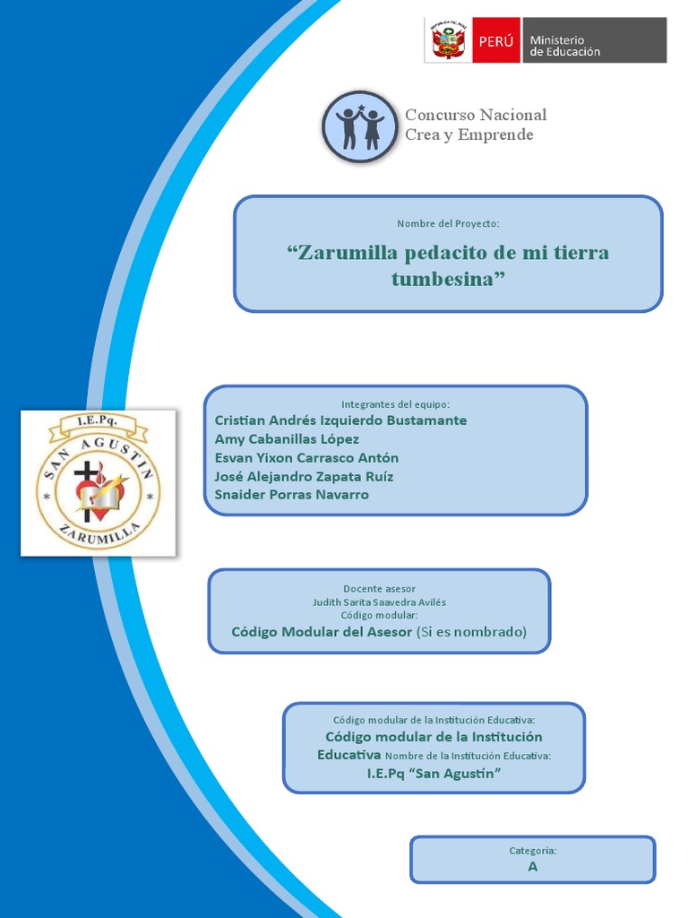 Cat. A - Proyecto de Emprendimiento | PDF | Publicidad | Presupuesto