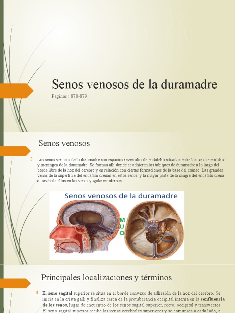 Senos Venosos de La Duramadre | PDF | Cabeza y cuello humanos ...
