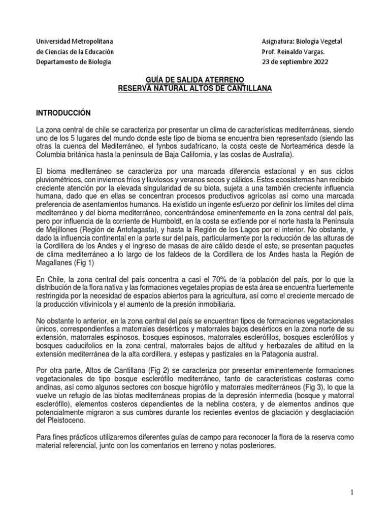 Formato Guía e Informe Terreno | PDF | Chile | mar Mediterráneo