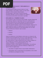 Origen Embrionario de Los Tejidos | PDF | Embrión | Biología del desarrollo