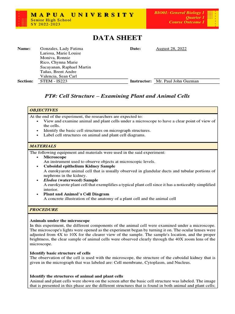 PT1 Data Sheet Cell Structure Examining Plant and Animal Cells 1 | PDF ...