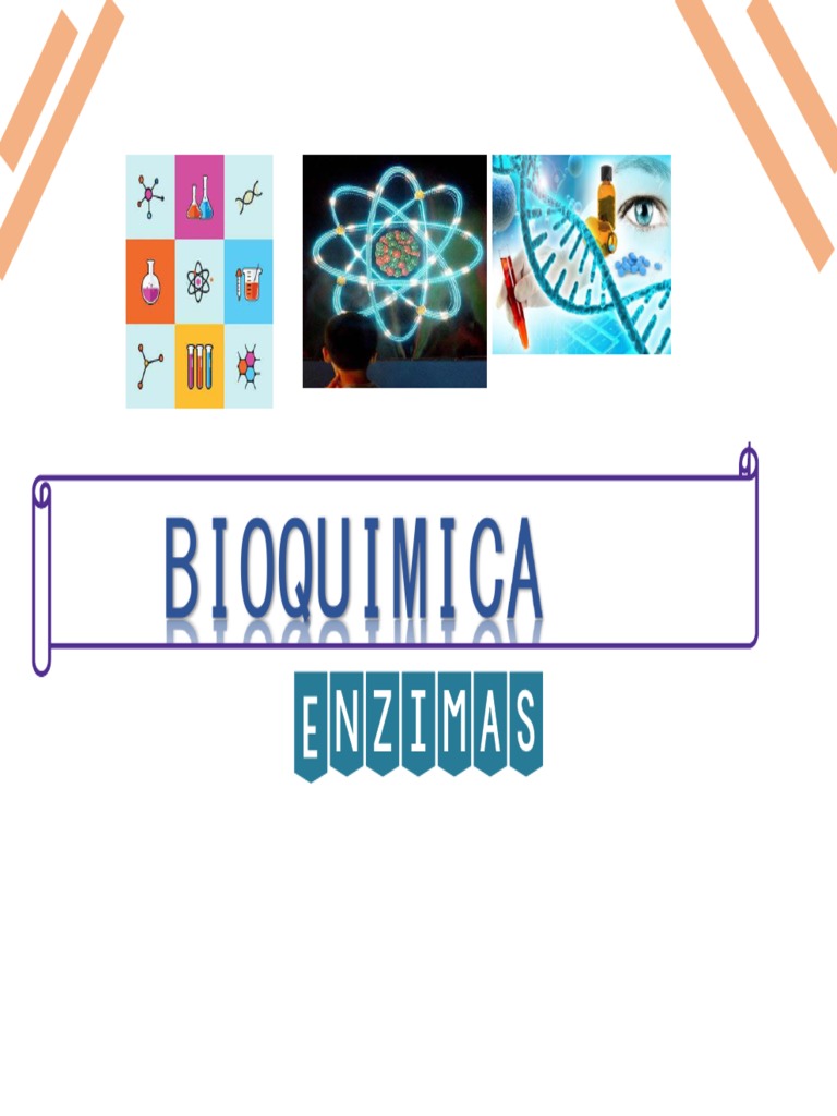 Enzimas Bioquimica | PDF | Enzima | Biotecnología