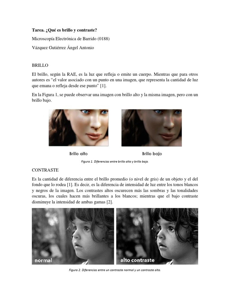 Brillo y contraste-SEM | PDF