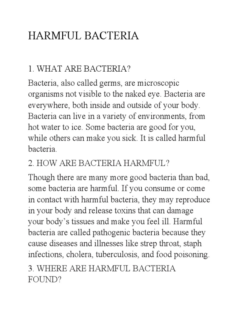 Harmful Bacteria Pdf