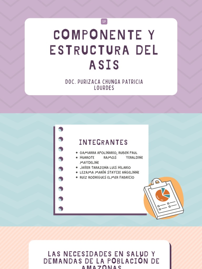 Componente Y Estructura Del Asis: Doc. Purizaca Chunga Patricia Lourdes ...