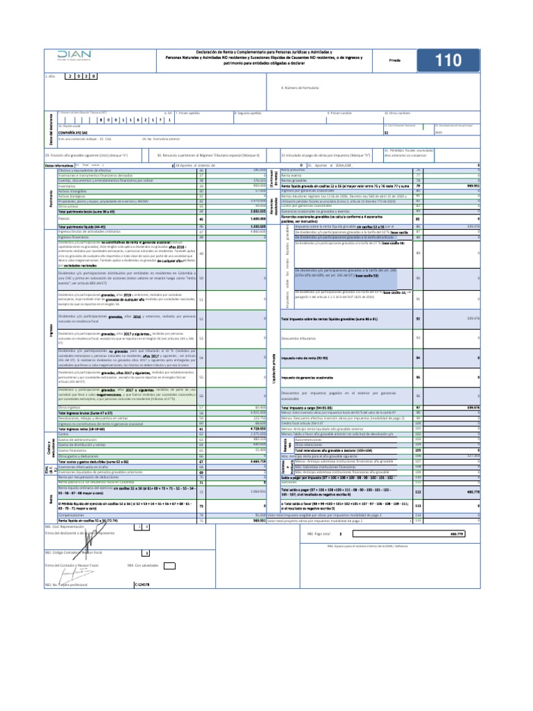 Declaración de Renta Formato 110 | PDF | Dividendo | Impuestos
