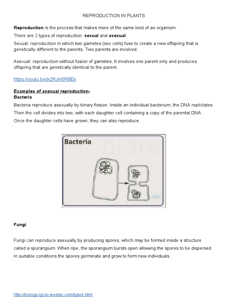 Reproduction in Plants | PDF | Flowers | Reproduction