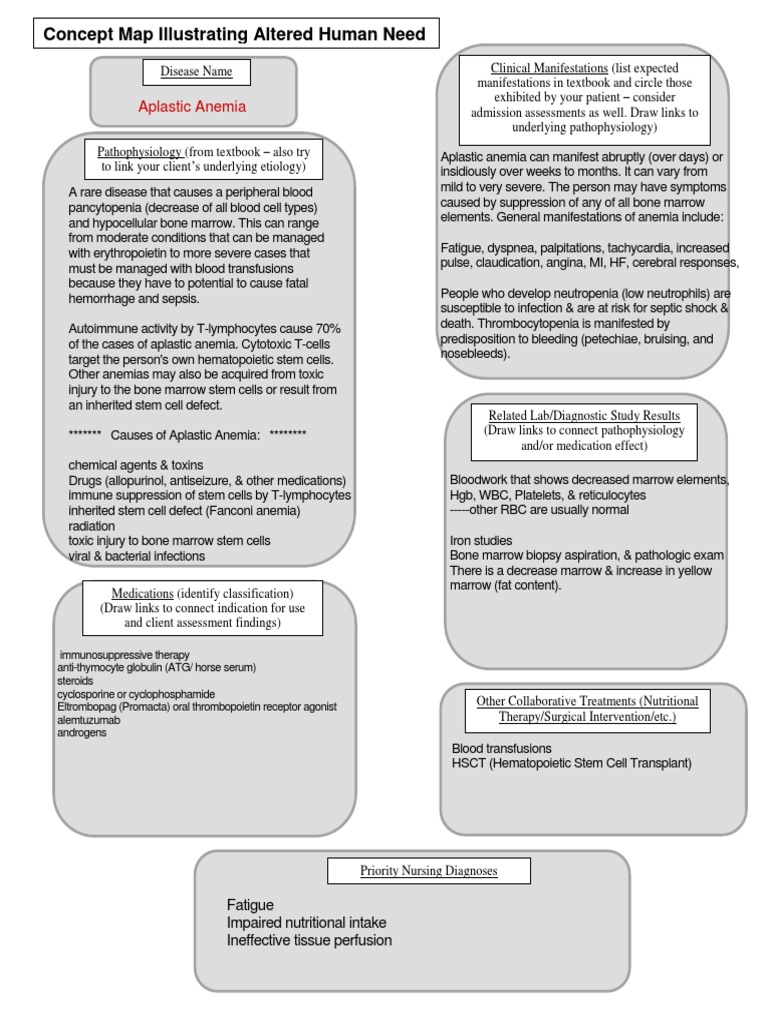 Concept Map Aplastic Anemia 212 1 | PDF | Anemia | Hematopoietic Stem ...