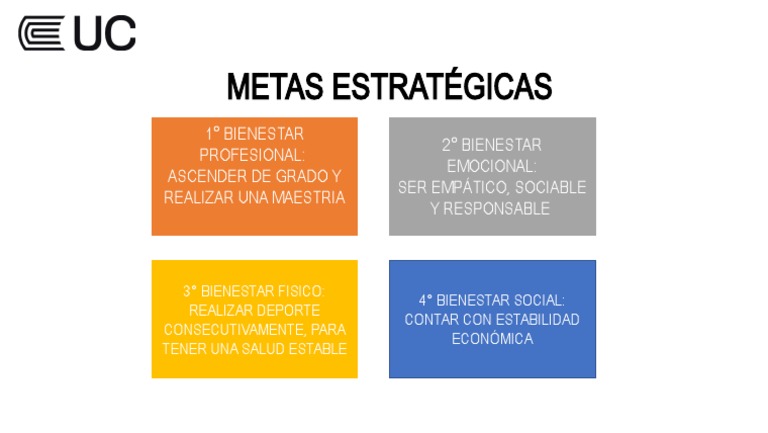 Metas Estrategicas | PDF