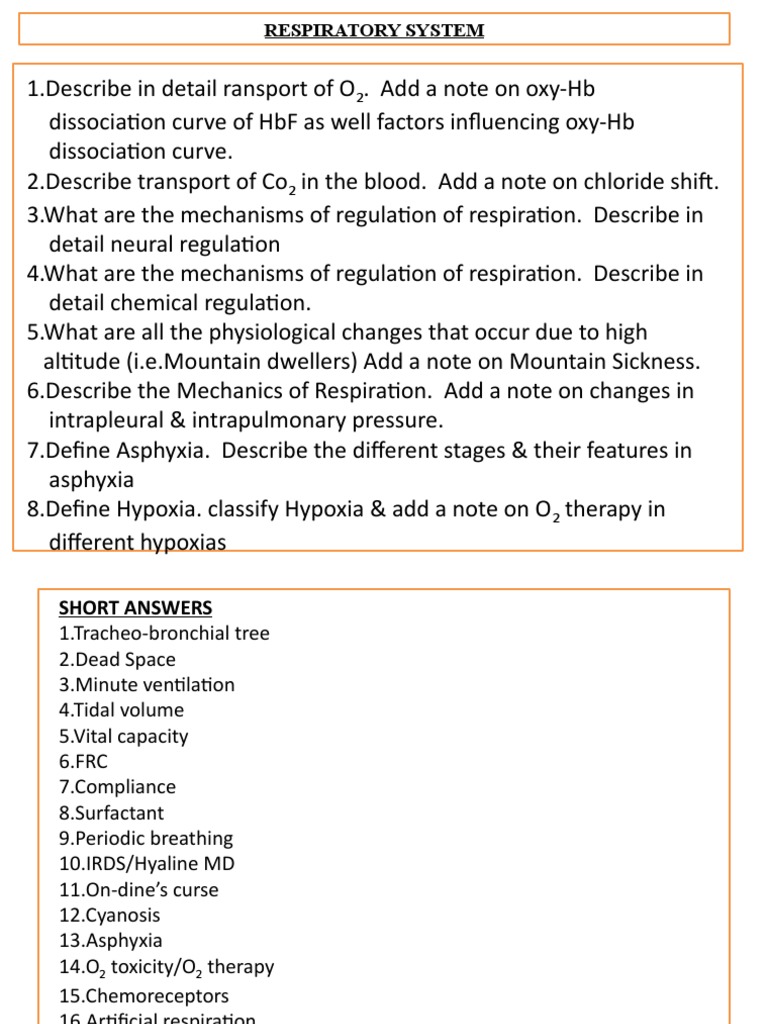 Respiratory System | PDF