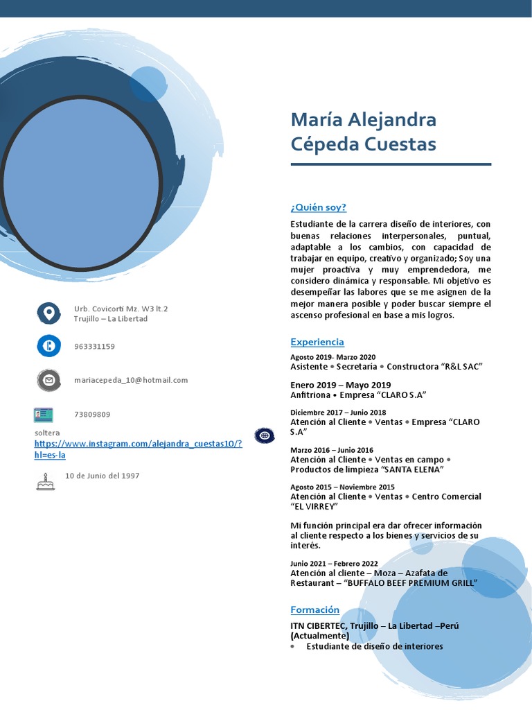 CV 2022 Ale | PDF | Business