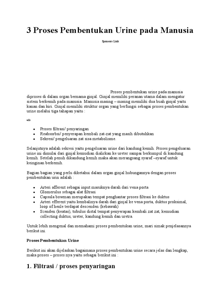 3 Proses Pembentukan Urine Pada Manusia | PDF