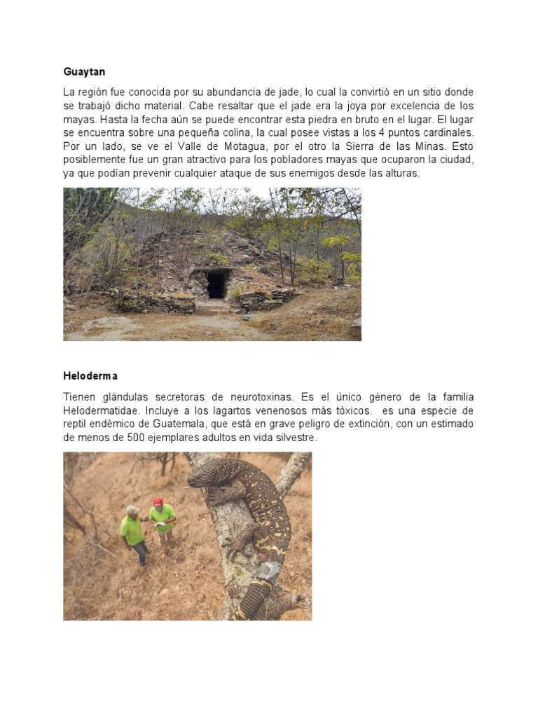 Historia y Cultura de Quiriguá y Guaytán | PDF