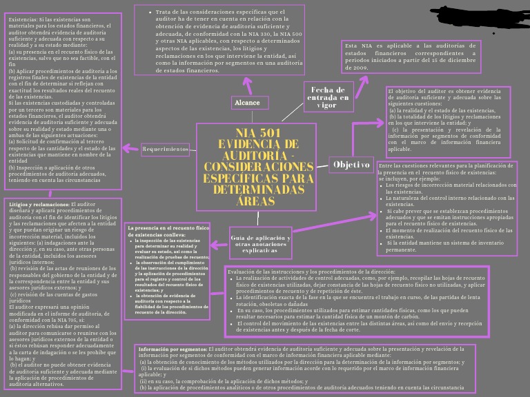 Nia - 501 Mapa Conceptual | PDF | Auditoría | Contralor