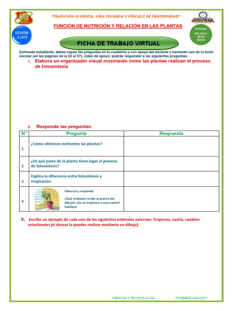 Ficha de Trabajo - Nutrición y Relación Plantas | PDF