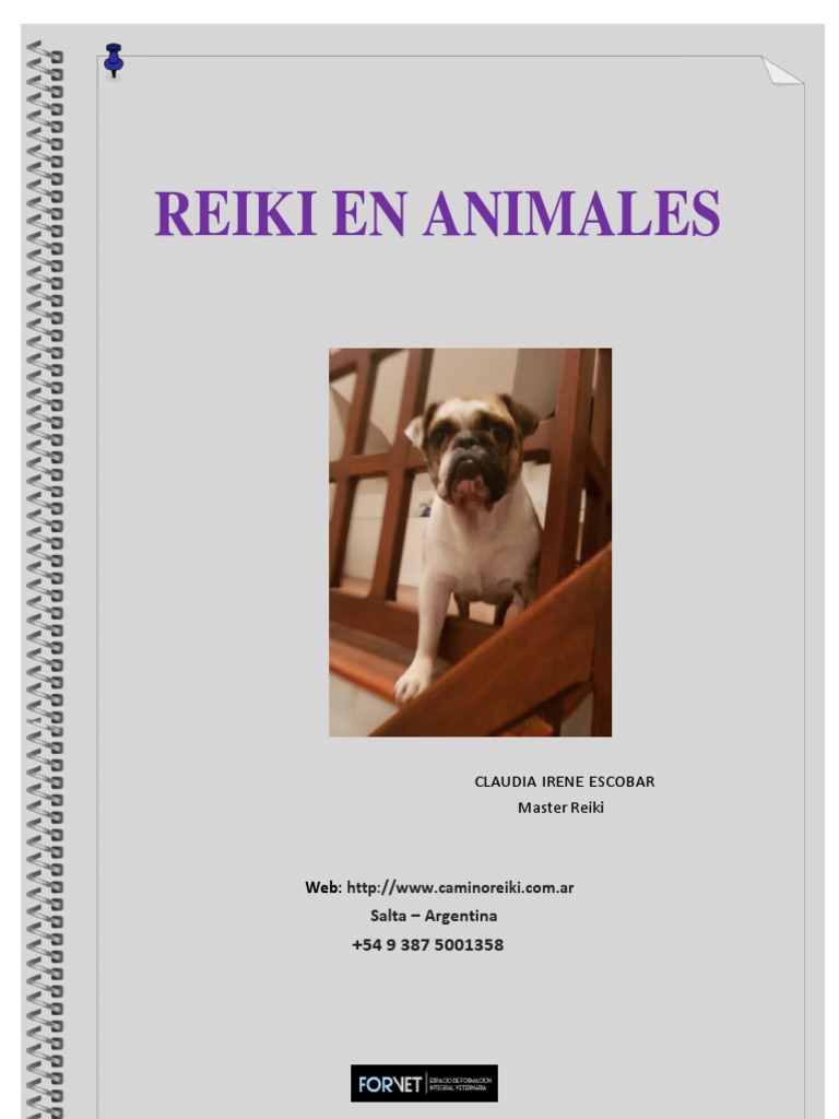 Los beneficios del Reiki para las mascotas: Cómo equilibra los chakras ...