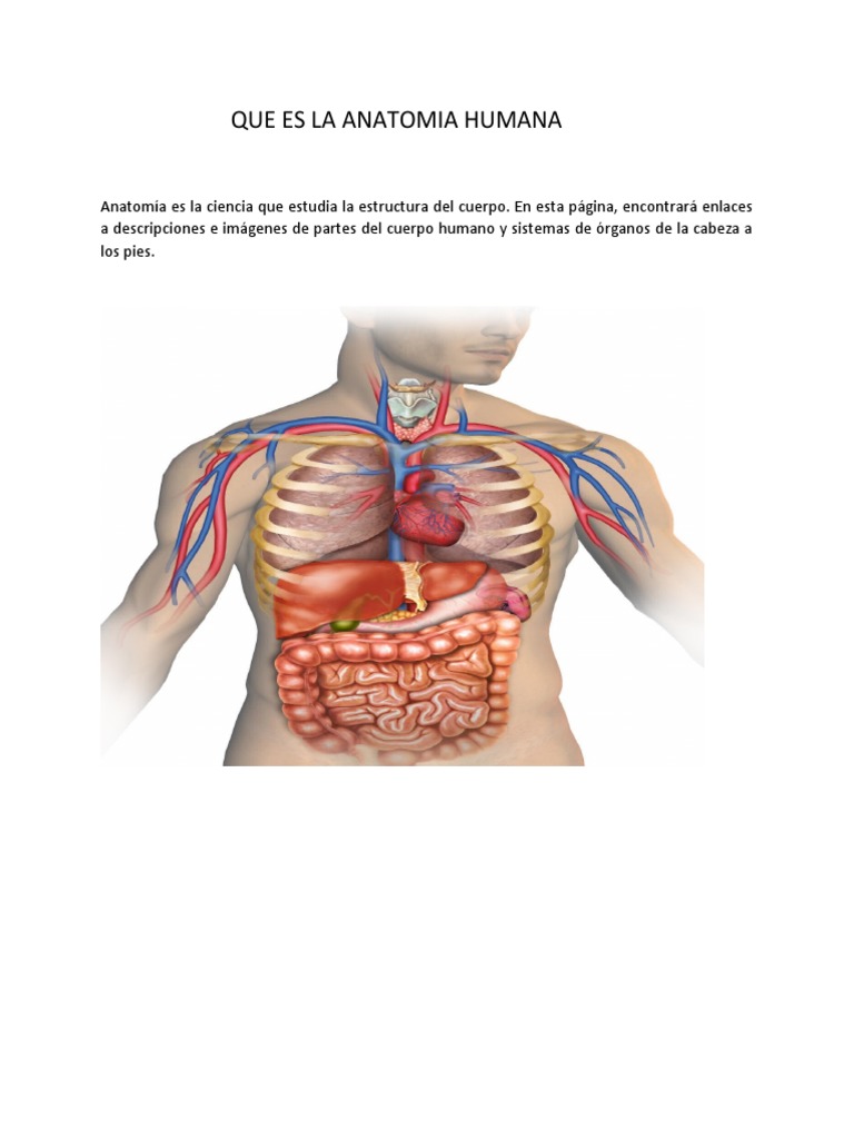 Qué es la anatomía humana | PDF