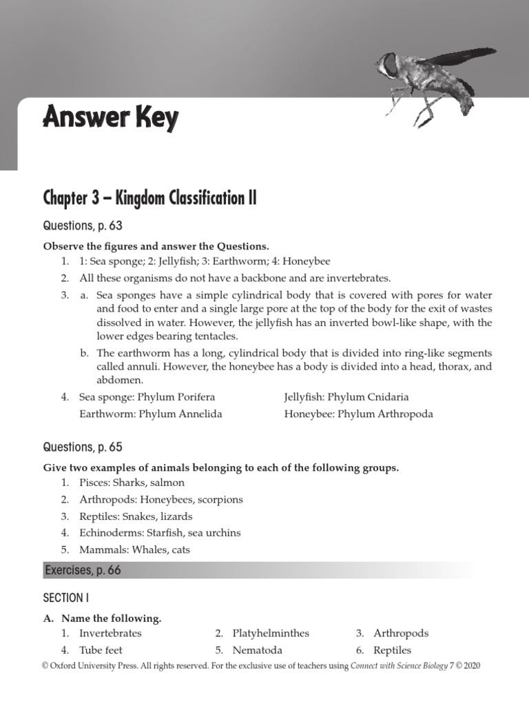 Class 7 Bio Chap Answer - Key - 3 | PDF | Invertebrate | Fish