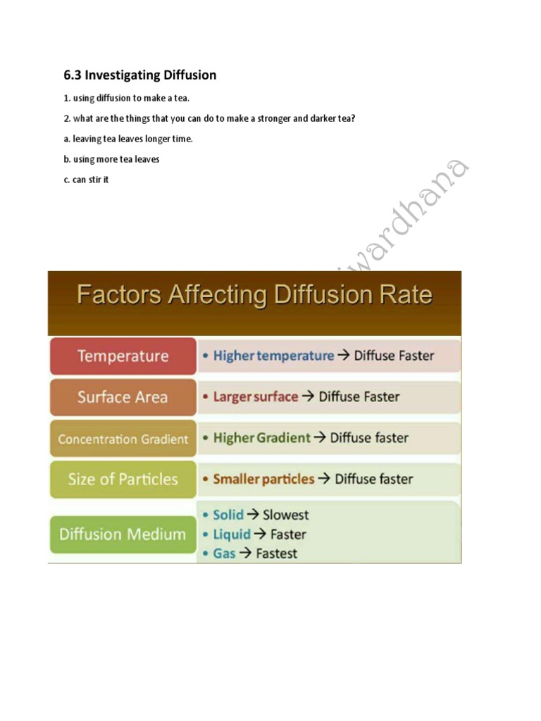 Investigating Diffusion | PDF
