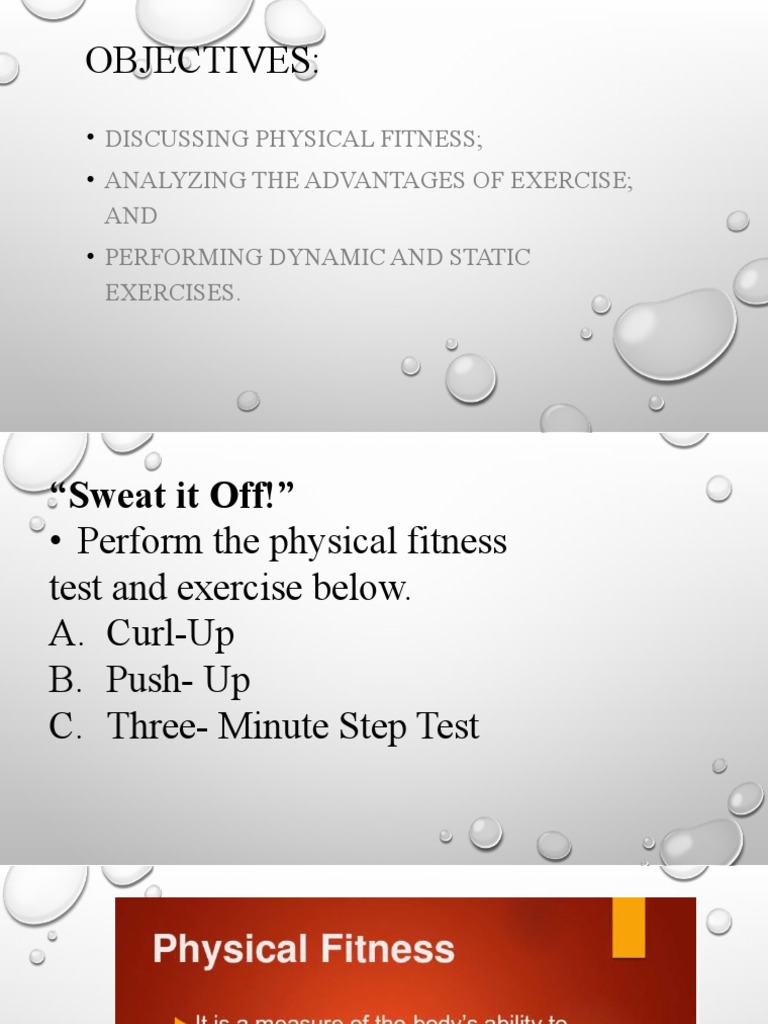 Dynamic Static PP T | PDF
