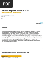 Project Plan - RISE Upgrade-Migration With SAP RISE - v02 | PDF | Computing | Software Engineering